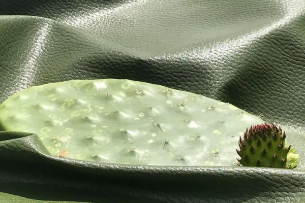 Vegan Leather: What is it and How it's made? - Sustainlify